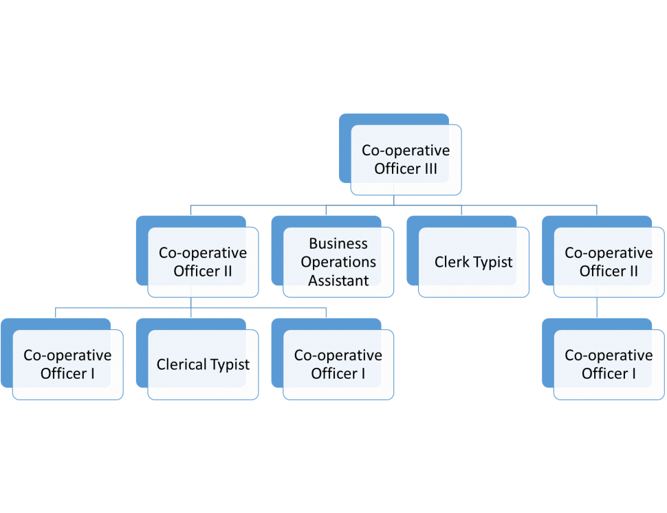 co-operative-development-org-chart - Division of Finance and the Economy